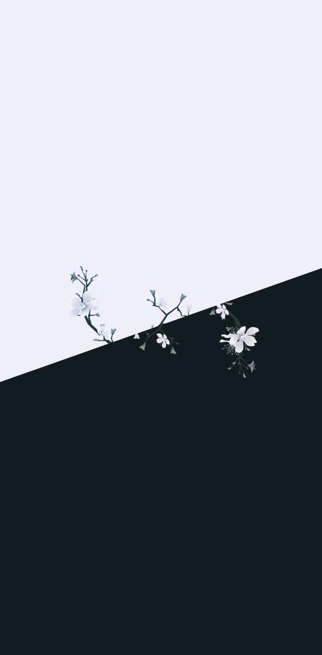 Chill Black Wallpapers - Top Free Chill Black Backgrounds - WallpaperAccess