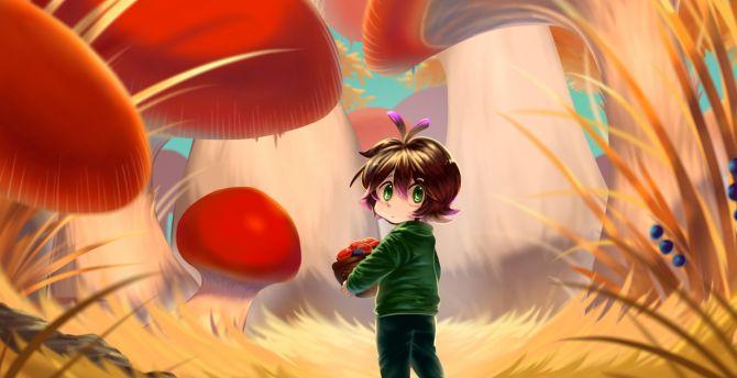 Anime Mushroom Wallpapers - Top Free Anime Mushroom Backgrounds ...
