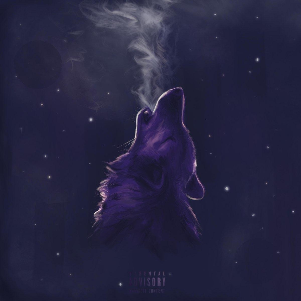 Cosmic Wolf Wallpapers - Top Free Cosmic Wolf Backgrounds - WallpaperAccess