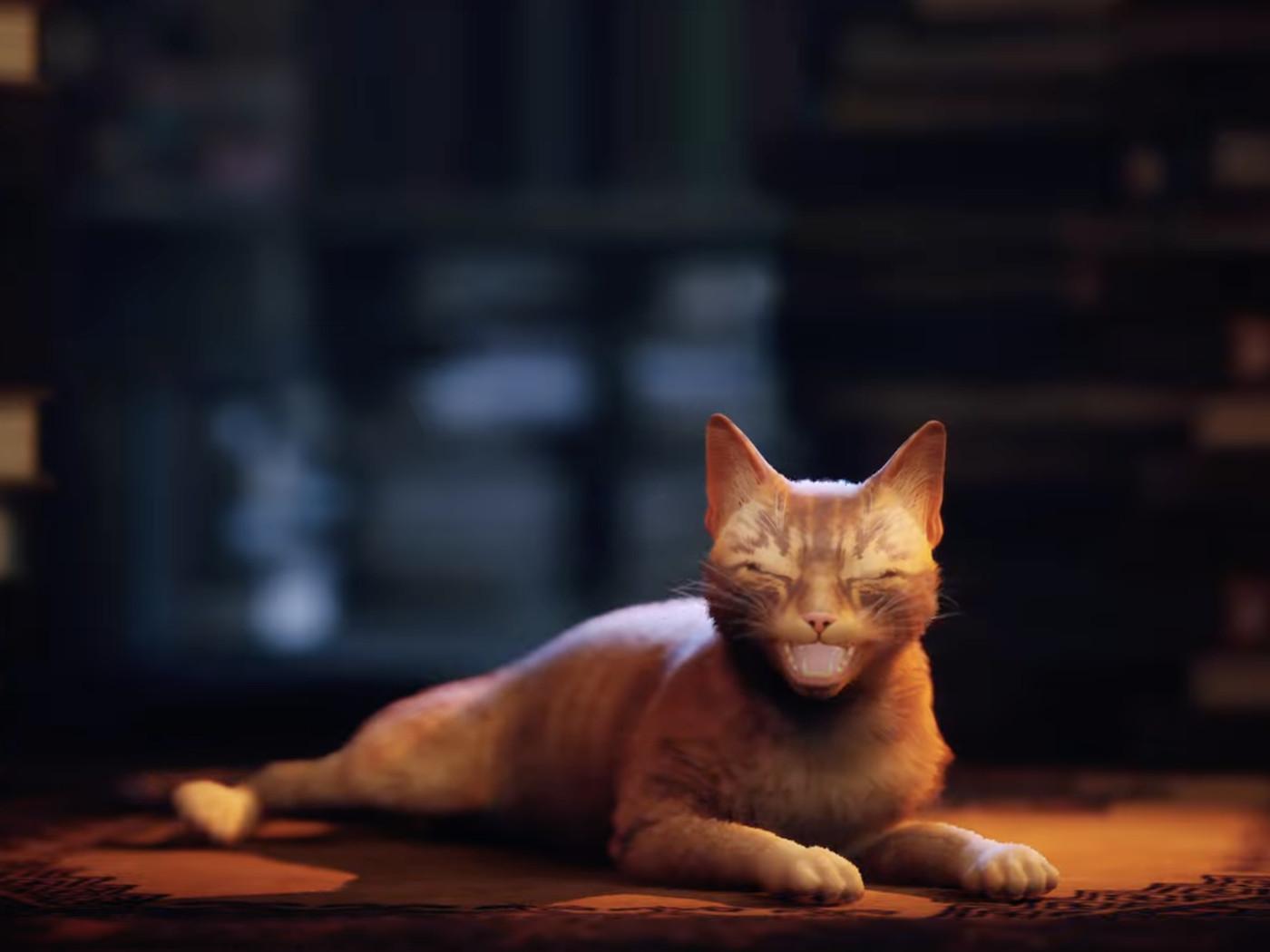 Stray Game Wallpapers - Top Free Stray Game Backgrounds - WallpaperAccess