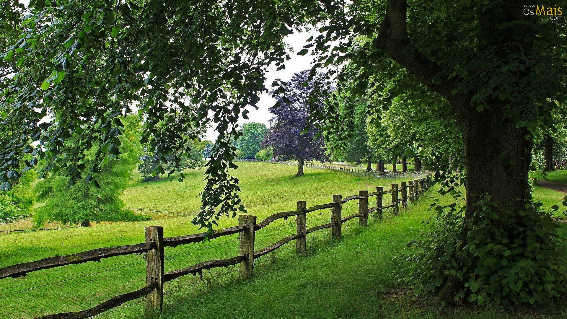 Fazenda Wallpapers - Top Free Fazenda Backgrounds - WallpaperAccess