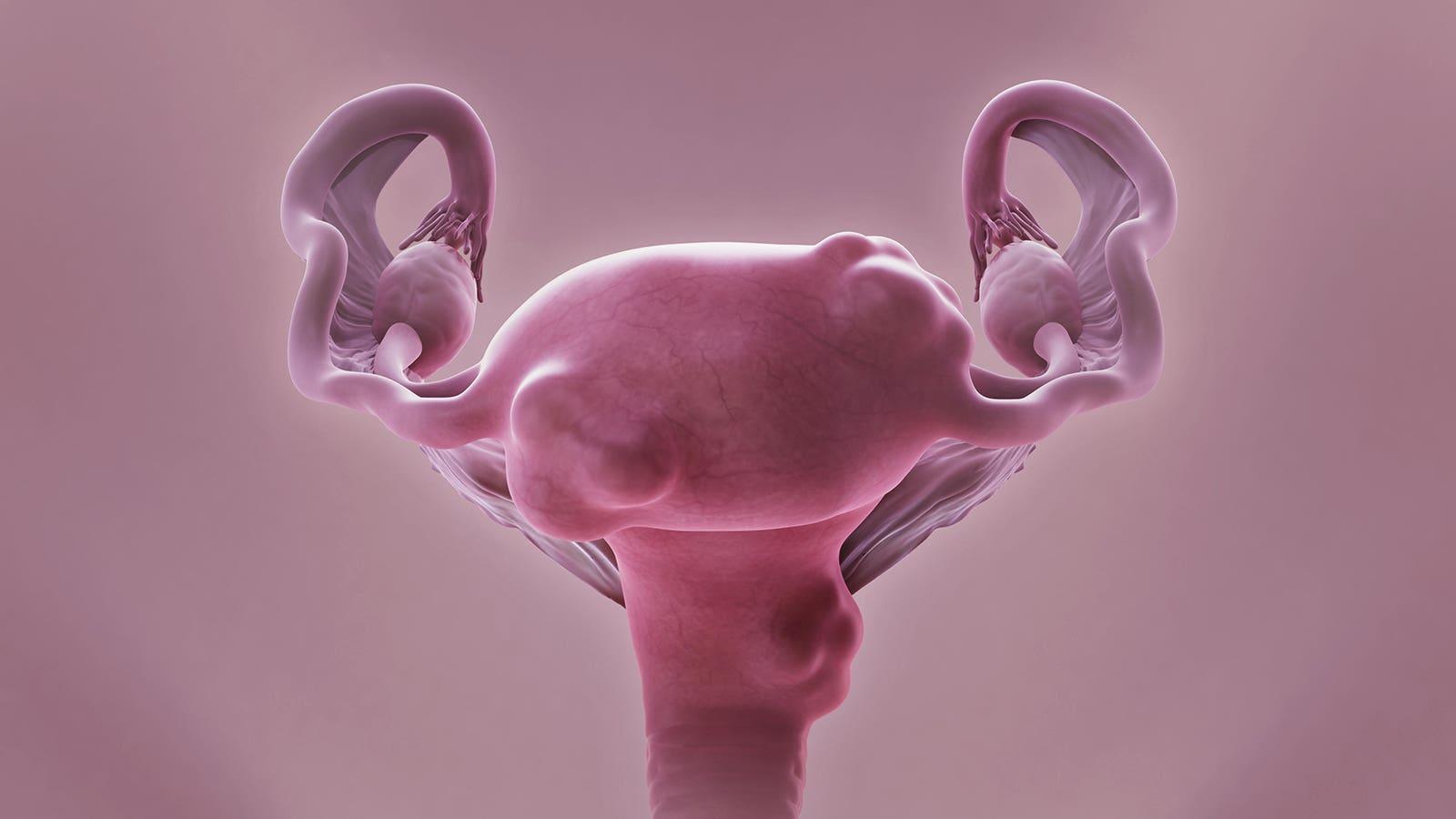 Gynecology Wallpapers - Top Free Gynecology Backgrounds - WallpaperAccess