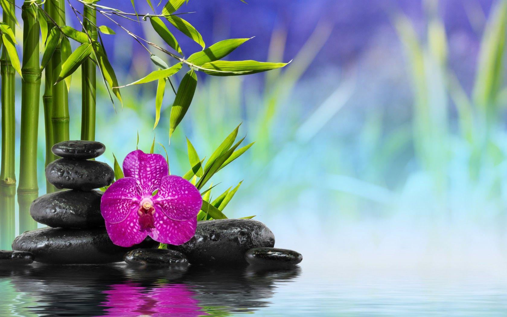 Zen Water Wallpapers - Top Free Zen Water Backgrounds - WallpaperAccess
