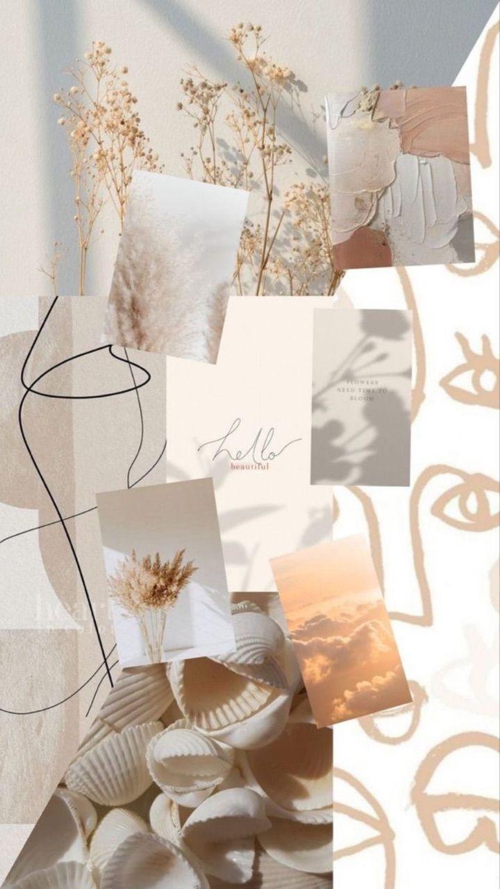 The Collector Wallpapers - Top Free The Collector Backgrounds ...