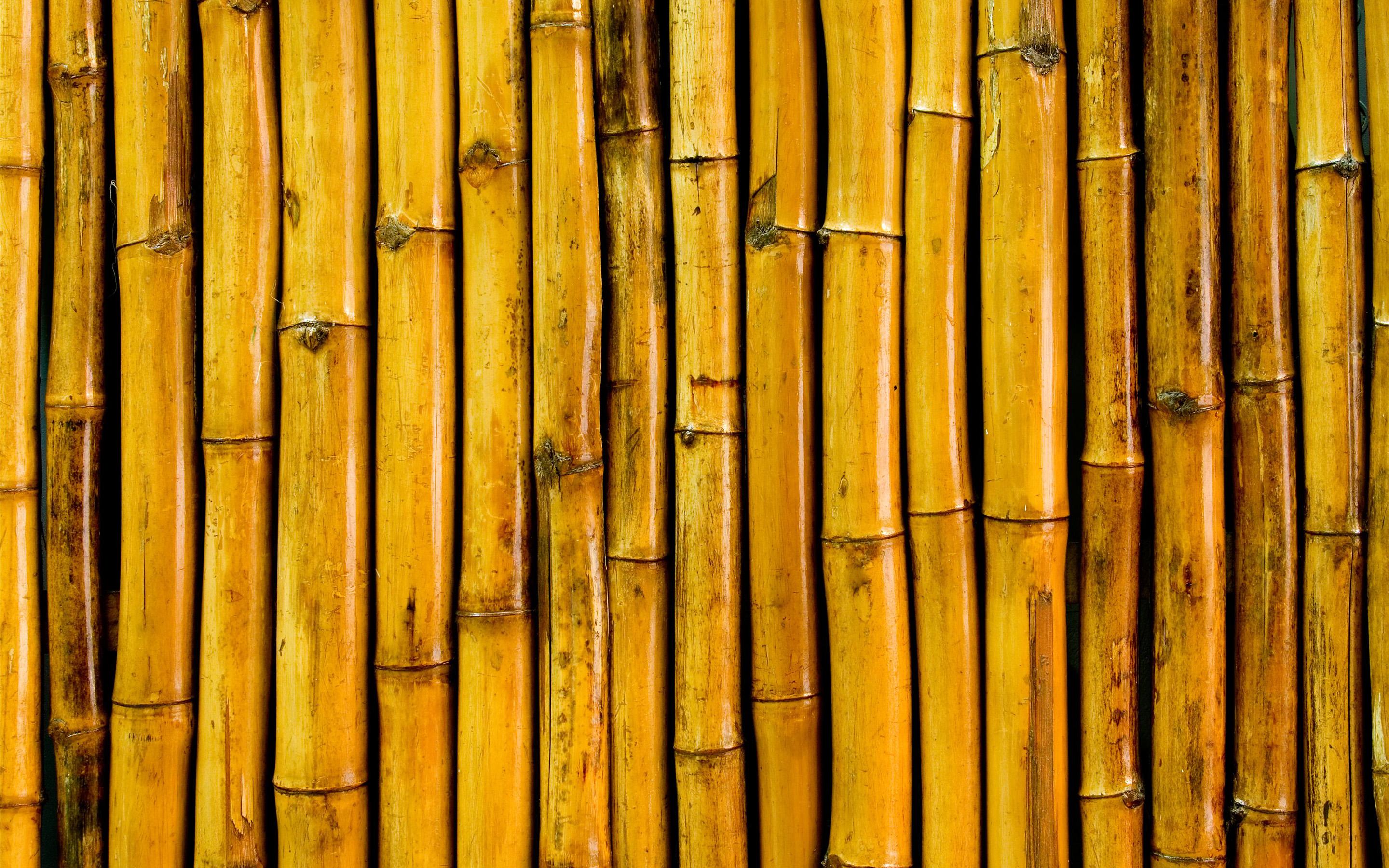 Yellow Wooden Wallpapers - Top Free Yellow Wooden Backgrounds ...