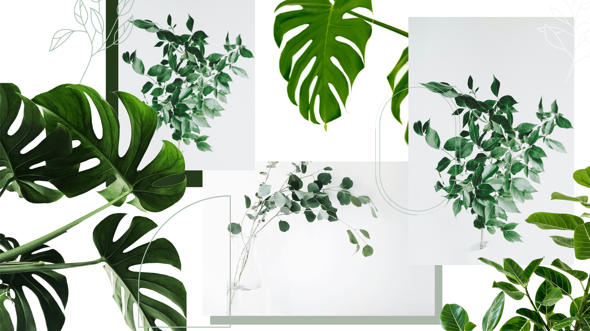 Clean Mac Wallpapers - Top Free Clean Mac Backgrounds - WallpaperAccess