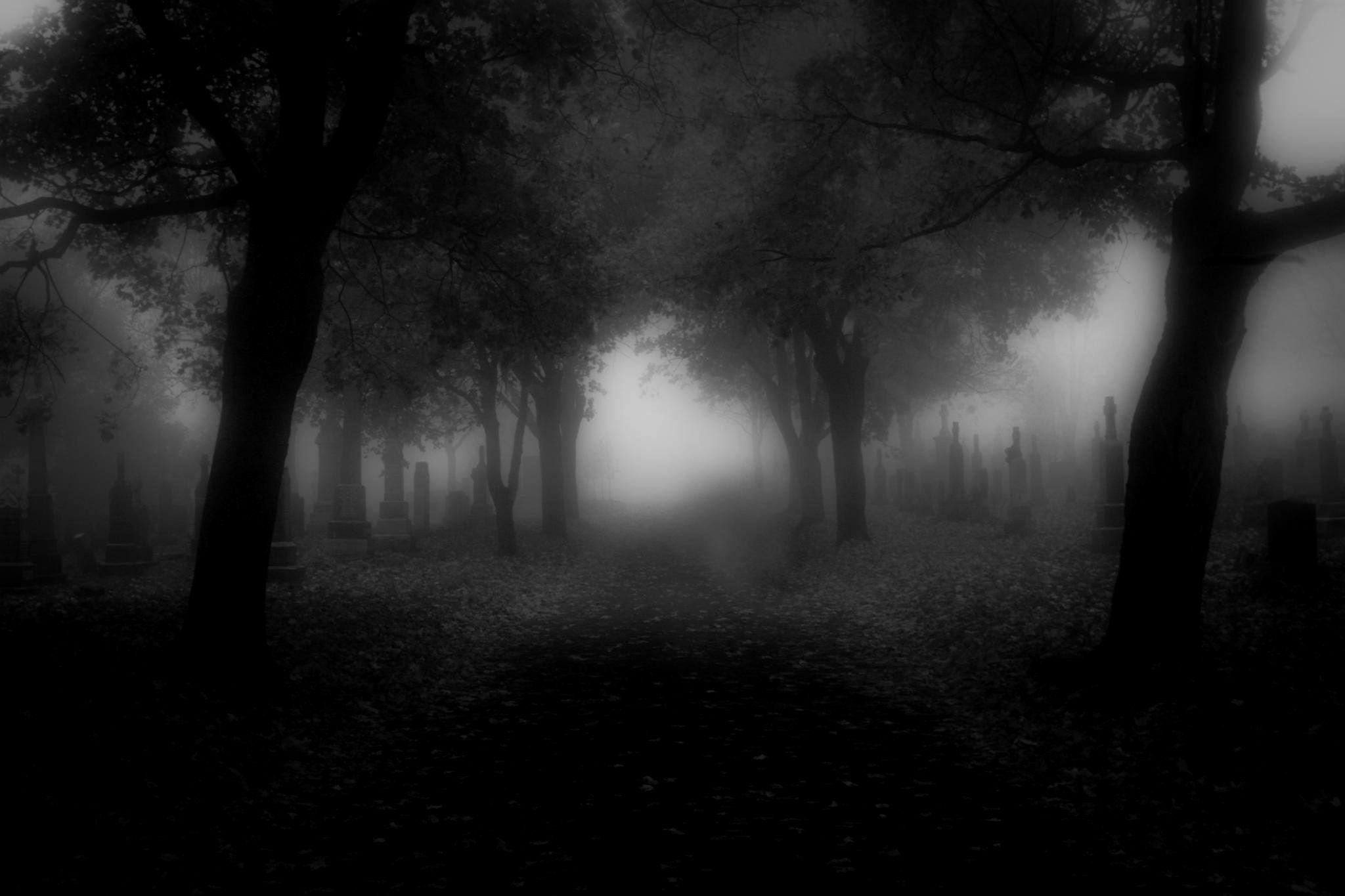 Scary Fog Wallpapers - Top Free Scary Fog Backgrounds - WallpaperAccess