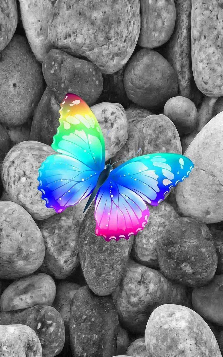 Cute Rainbow Animal Wallpapers - Top Free Cute Rainbow Animal ...