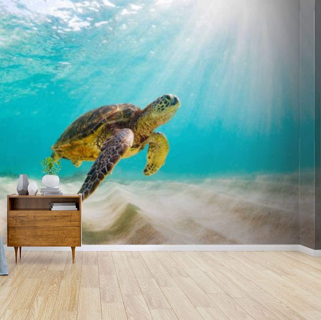 Hawaiian Sea Turtle Wallpapers - Top Free Hawaiian Sea Turtle ...