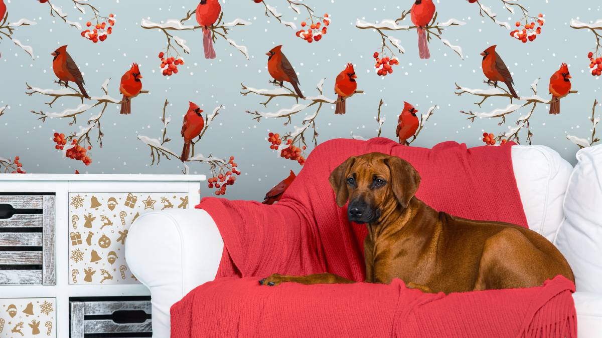 12 Days of Christmas Wallpapers - Top Free 12 Days of Christmas ...
