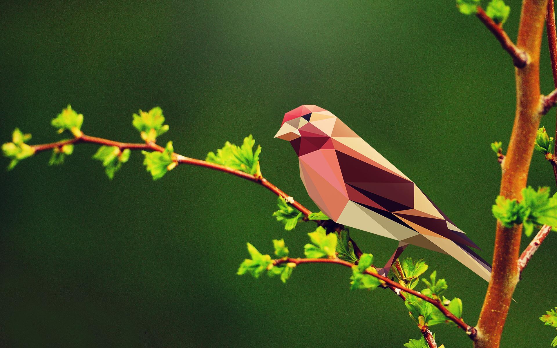 Low Poly Animal Wallpapers - Top Free Low Poly Animal Backgrounds ...