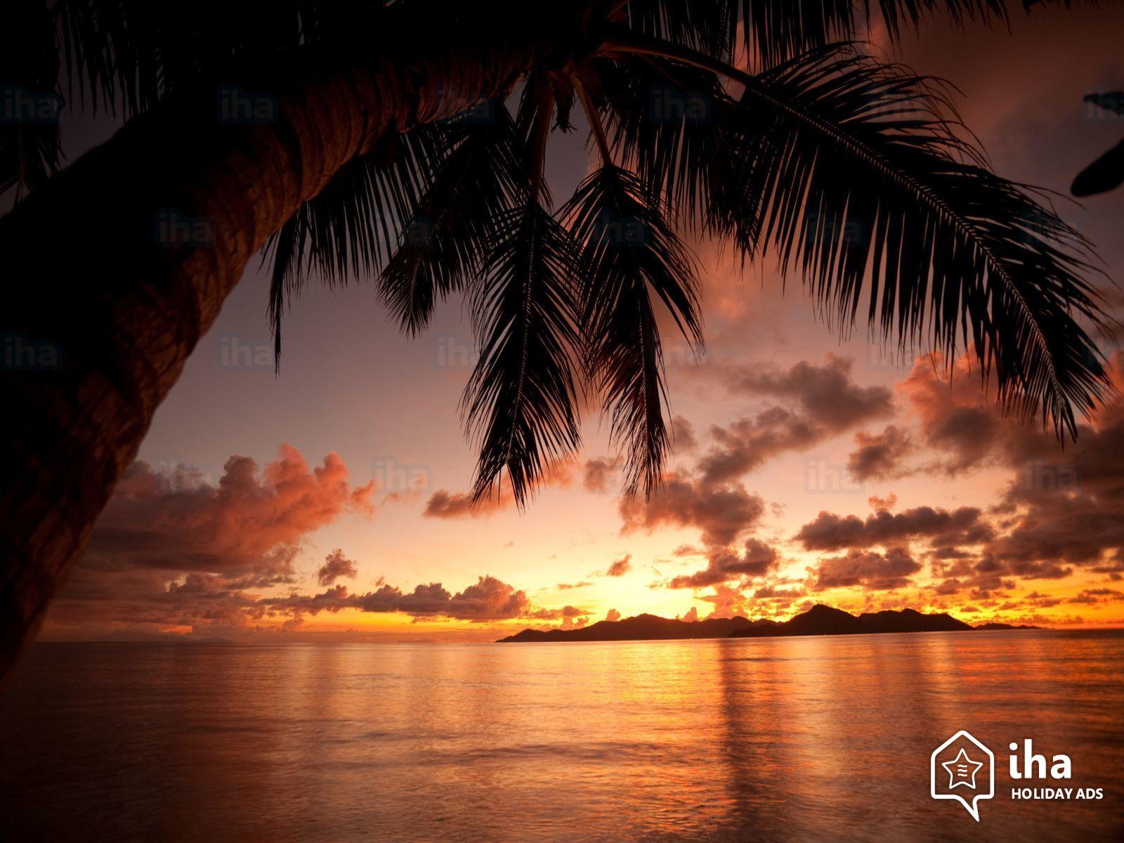 Scarface Sunset Wallpapers - Top Free Scarface Sunset Backgrounds ...