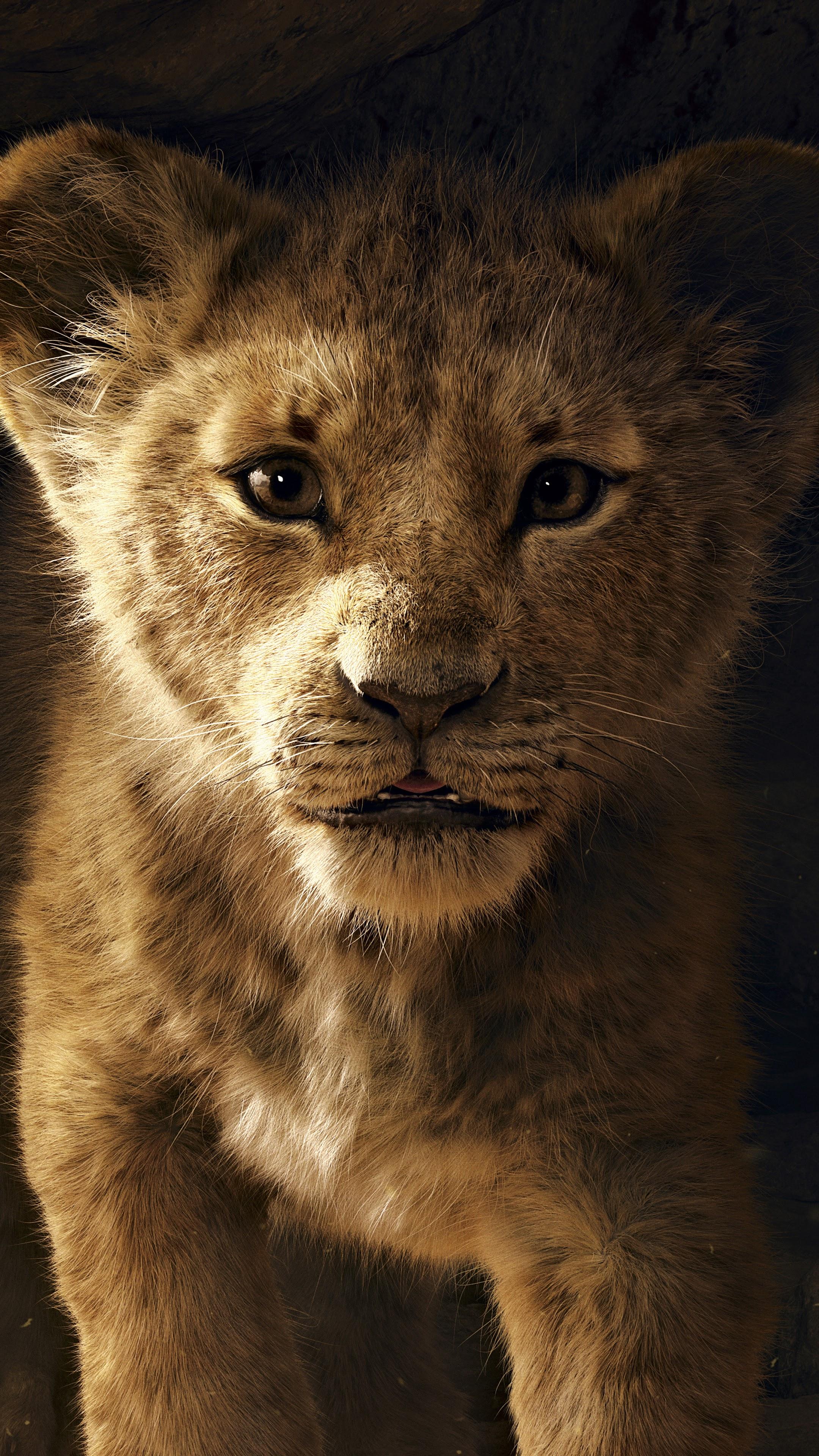 Simba iPhone Wallpapers - Top Free Simba iPhone Backgrounds ...