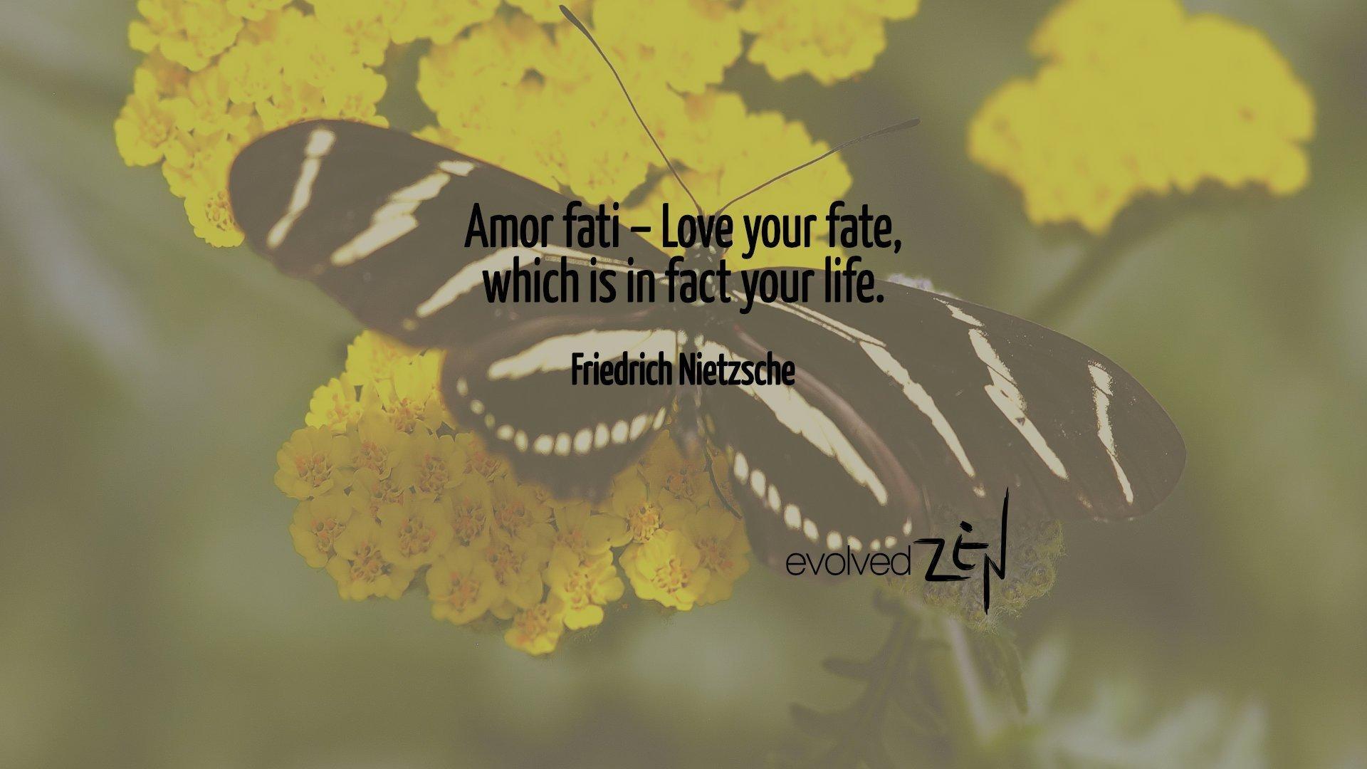 Amor Fati Wallpapers - Top Free Amor Fati Backgrounds - WallpaperAccess