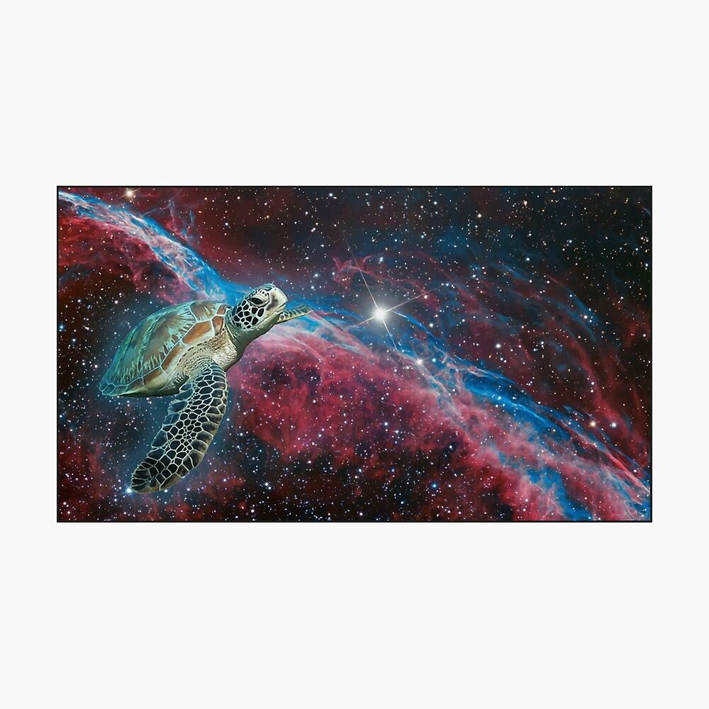 Space Turtle Wallpapers - Top Free Space Turtle Backgrounds ...