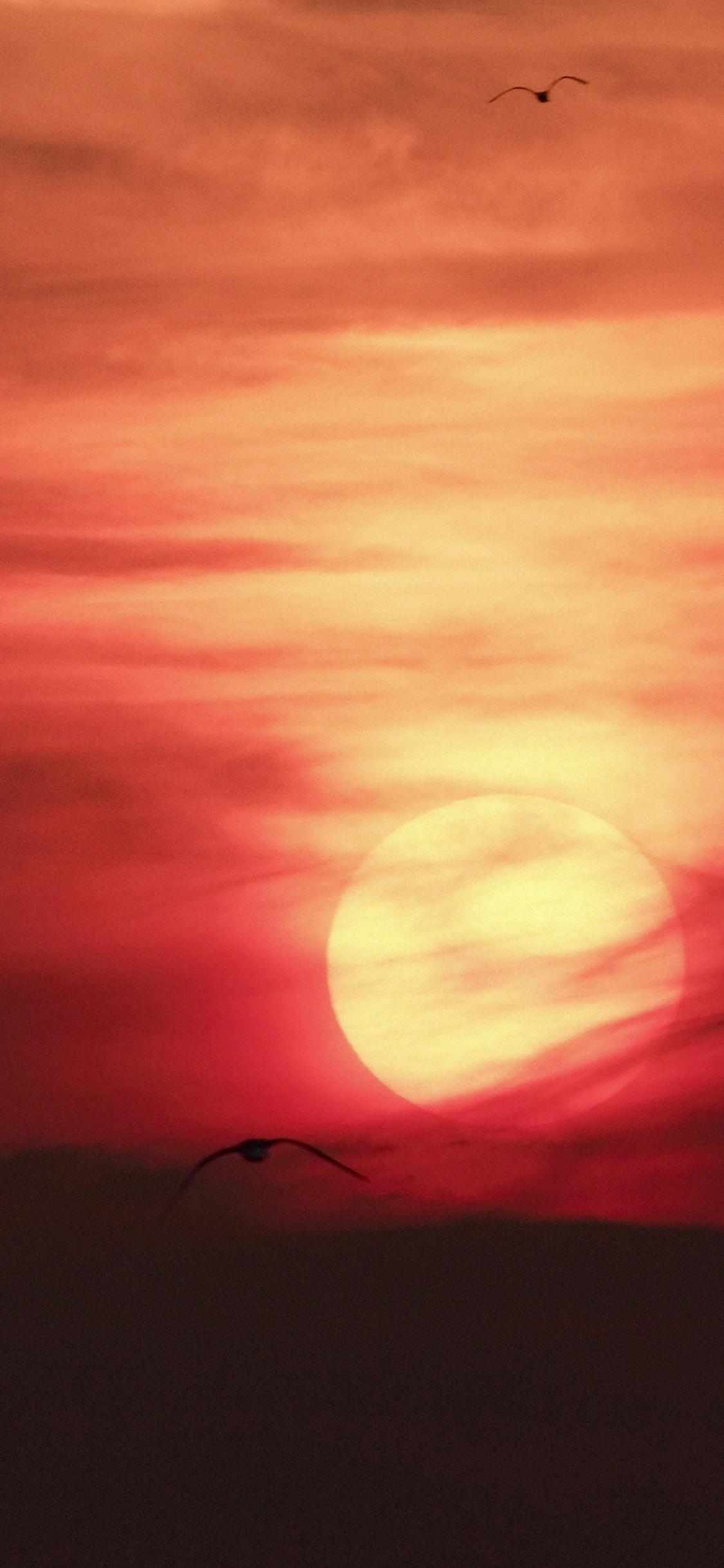 Sunset Nature iPhone Wallpapers - Top Free Sunset Nature iPhone ...