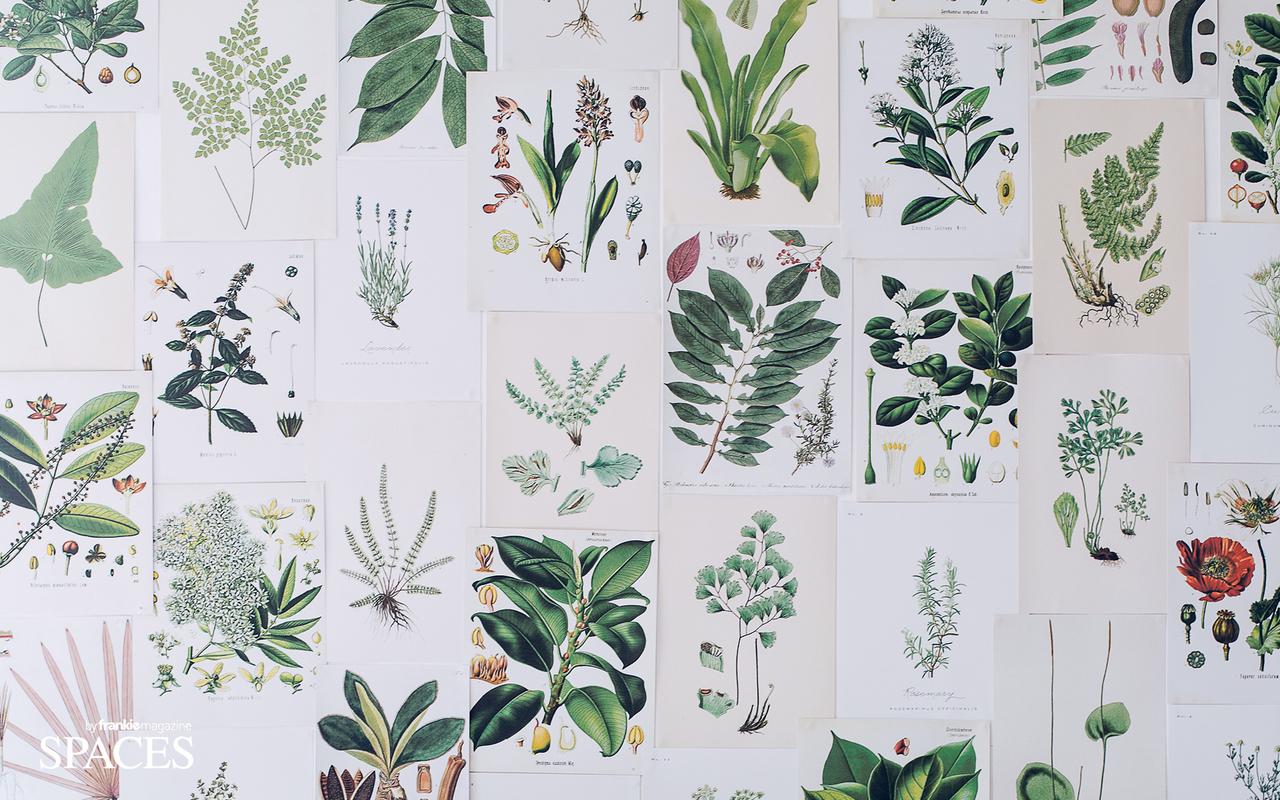 Aesthetic Biology Wallpapers - Top Free Aesthetic Biology Backgrounds ...