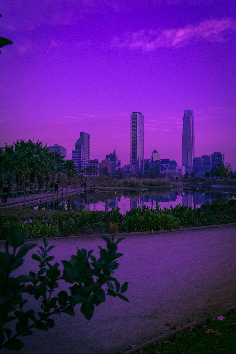 Purple Skyline Wallpapers - Top Free Purple Skyline Backgrounds ...