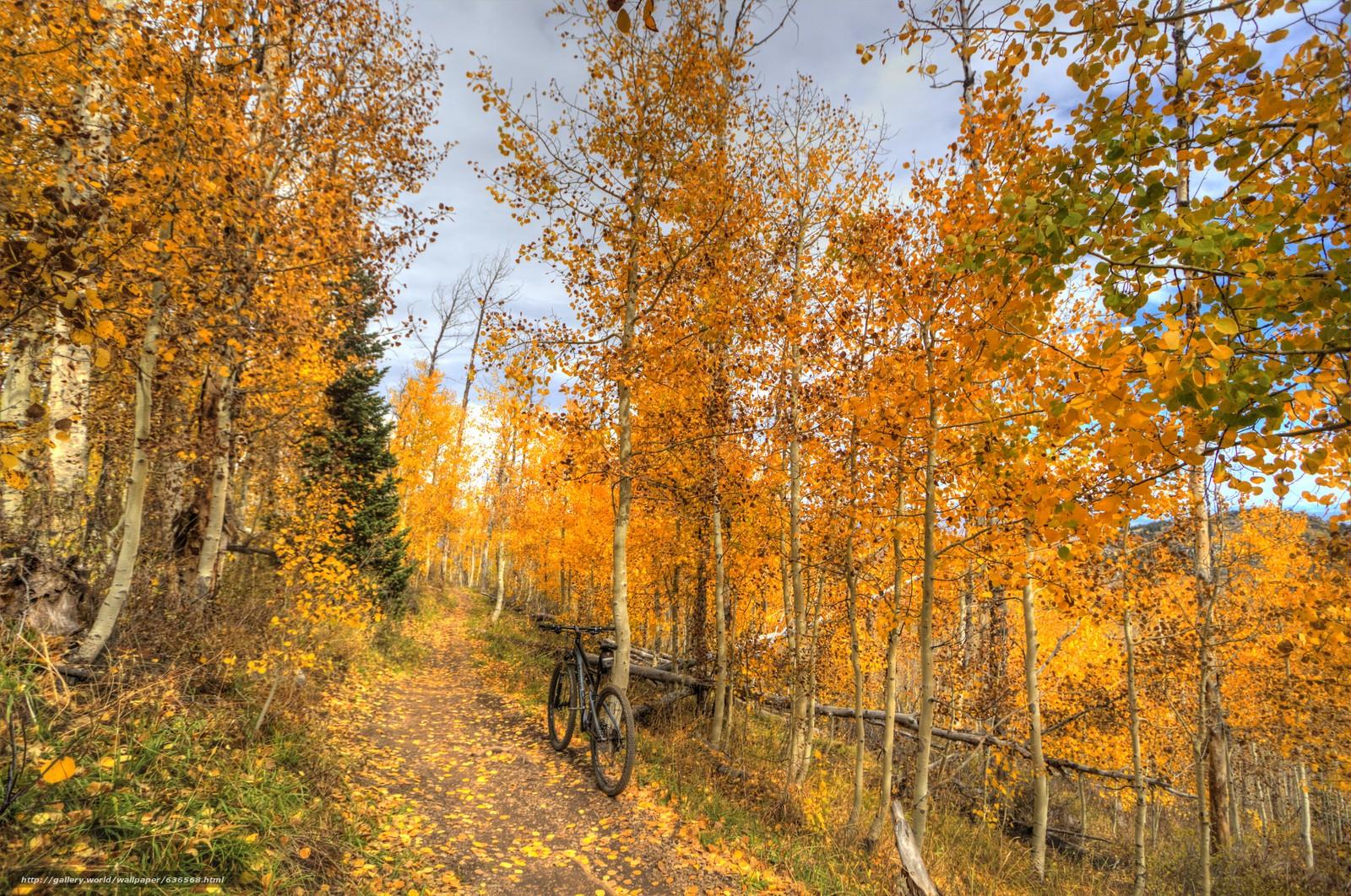 Park City Utah Wallpapers - Top Free Park City Utah Backgrounds ...