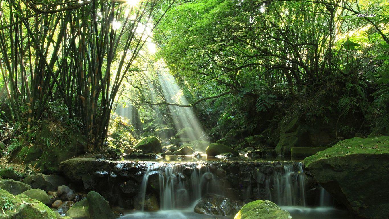 Sun Waterfall Wallpapers - Top Free Sun Waterfall Backgrounds ...