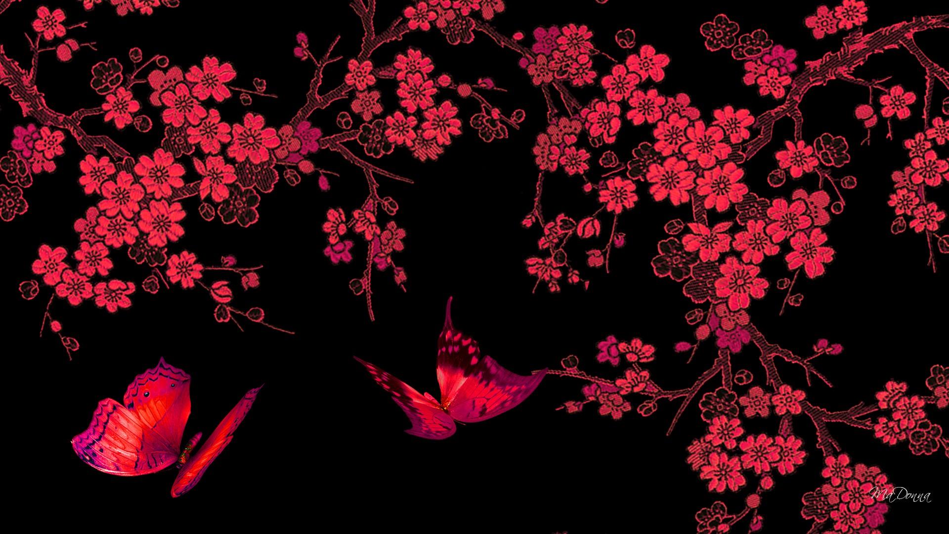 Red Sakura Wallpapers - Top Free Red Sakura Backgrounds - WallpaperAccess