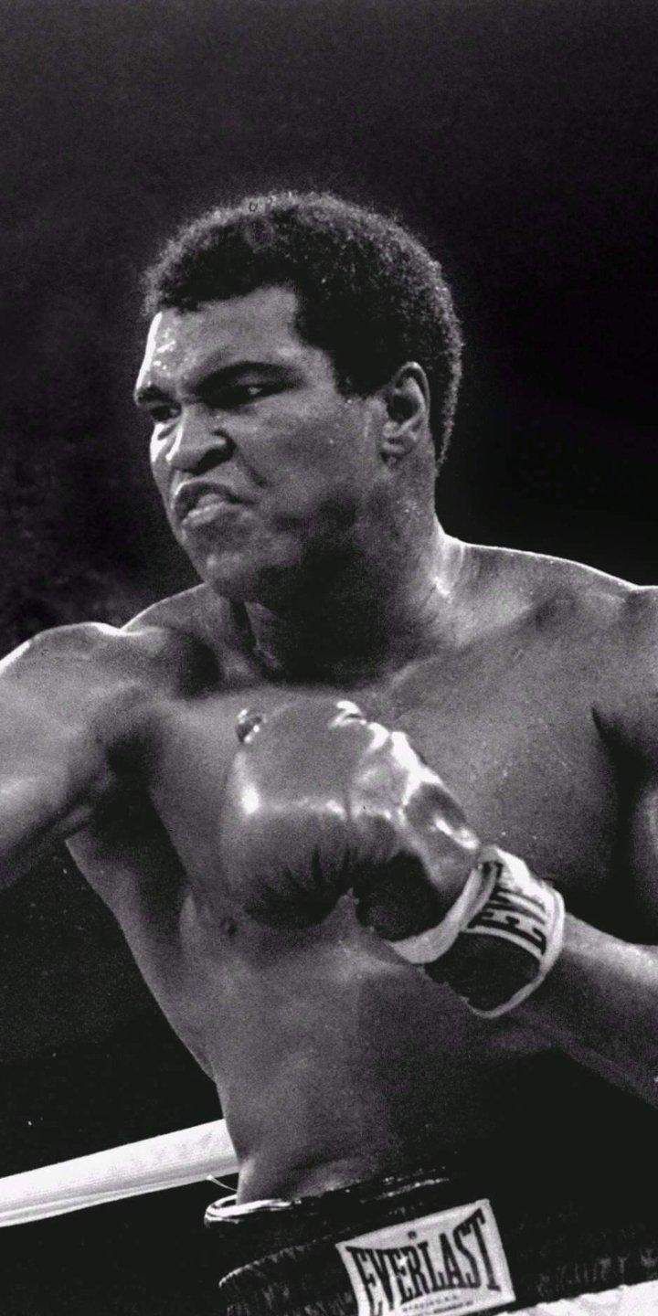 Everlast Boxing Wallpapers - Top Free Everlast Boxing Backgrounds ...