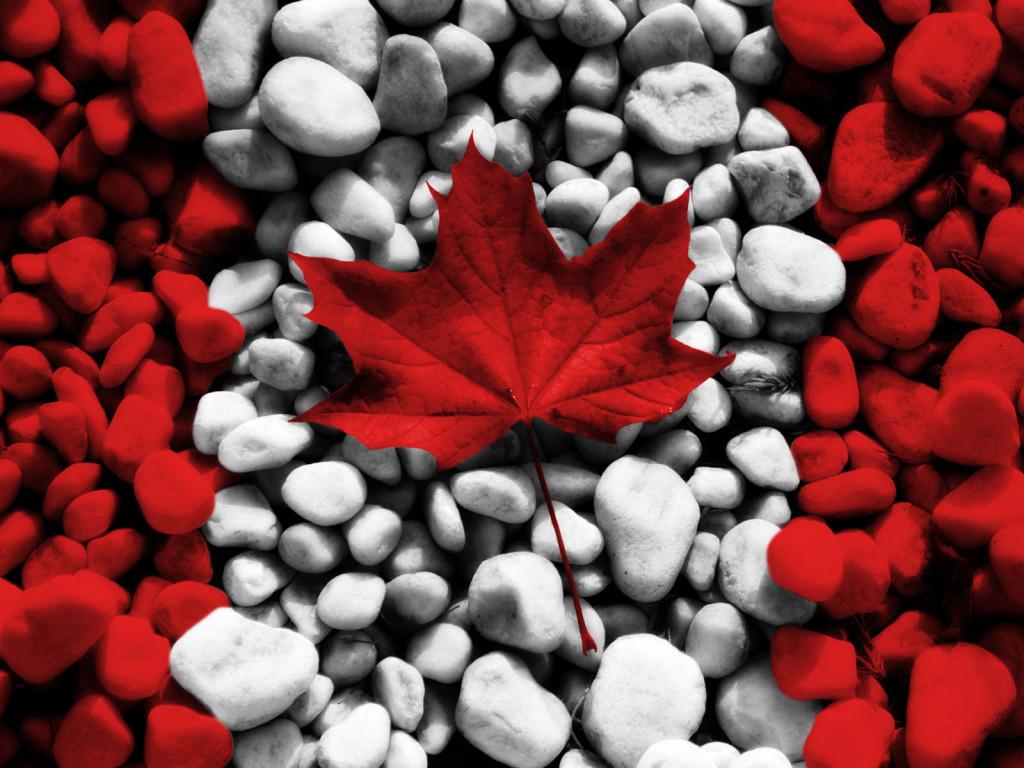 Canada Day Wallpapers - Top Free Canada Day Backgrounds - WallpaperAccess