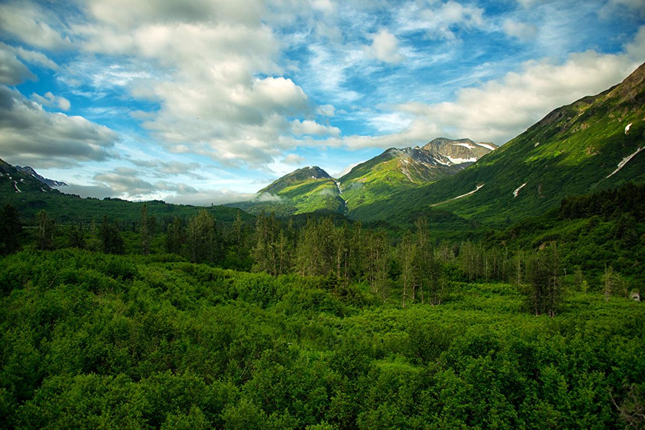 Alaska Forest Wallpapers - Top Free Alaska Forest Backgrounds ...