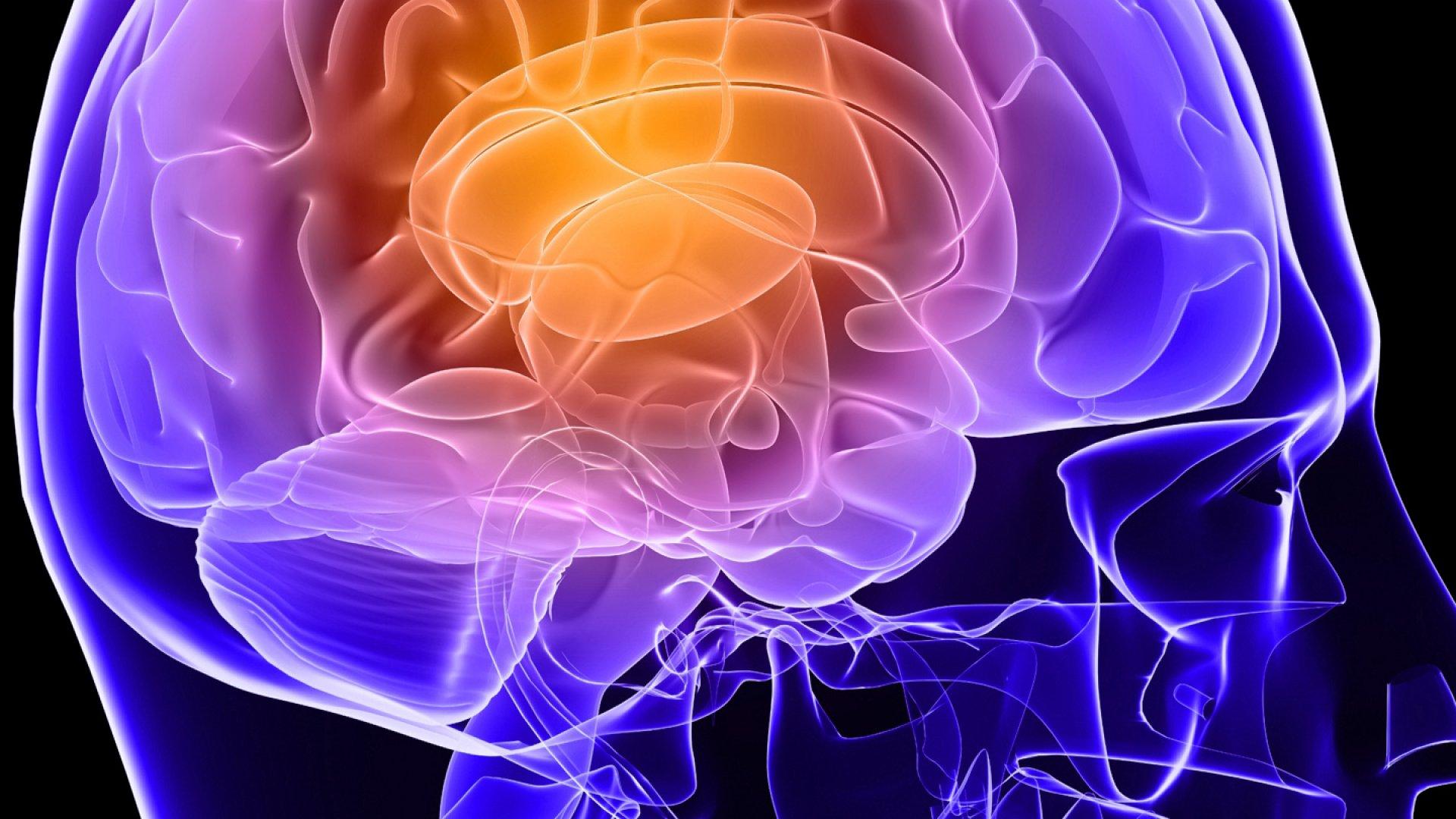 Train Your Brain Wallpapers - Top Free Train Your Brain Backgrounds ...