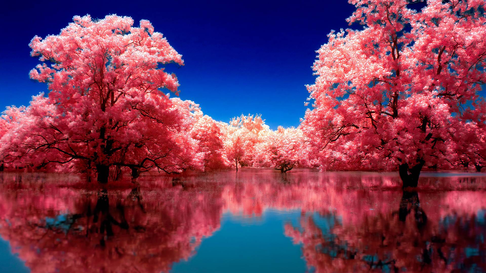 Calm Autumn Wallpapers - Top Free Calm Autumn Backgrounds - WallpaperAccess