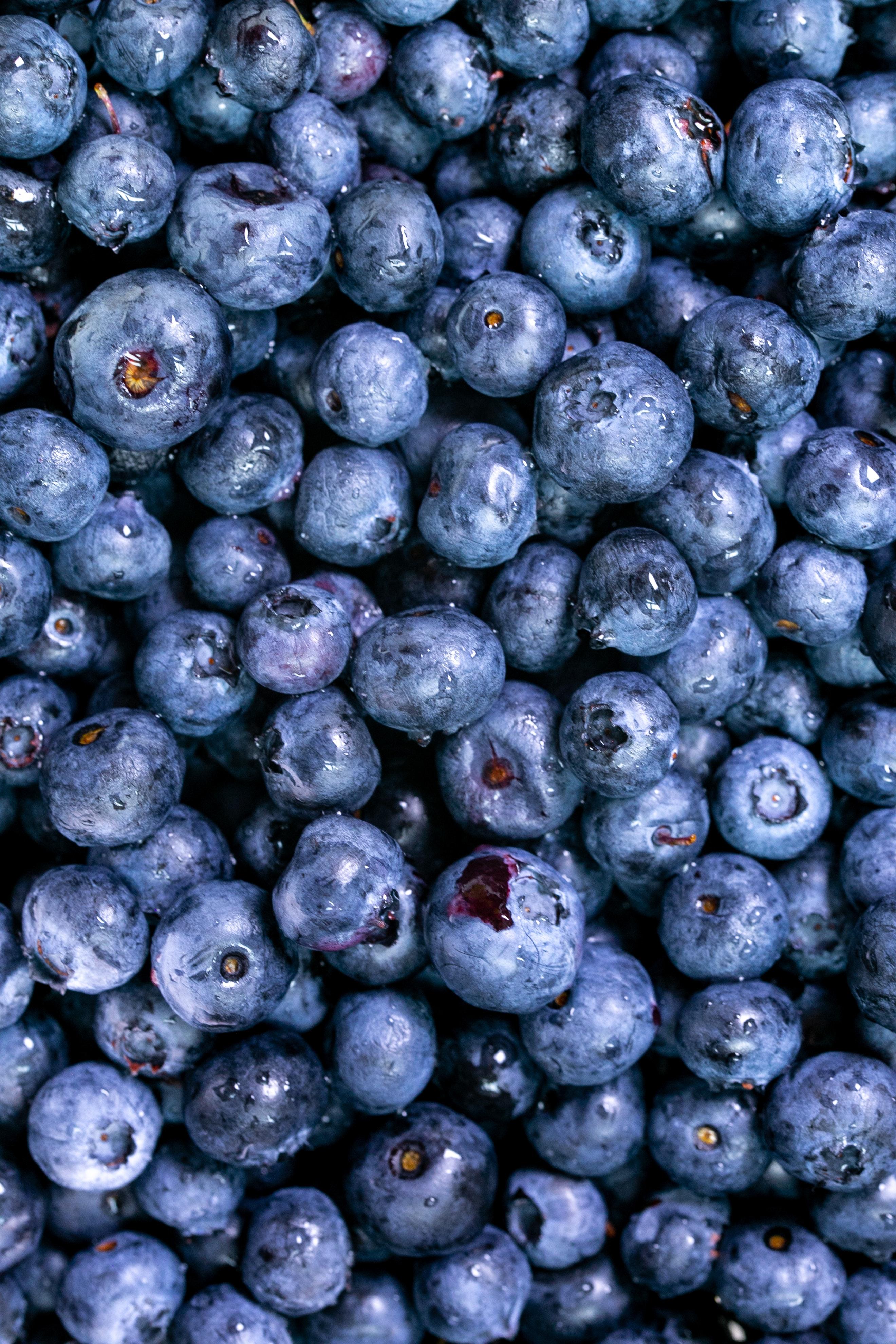 Blueberry HD Wallpapers - Top Free Blueberry HD Backgrounds ...