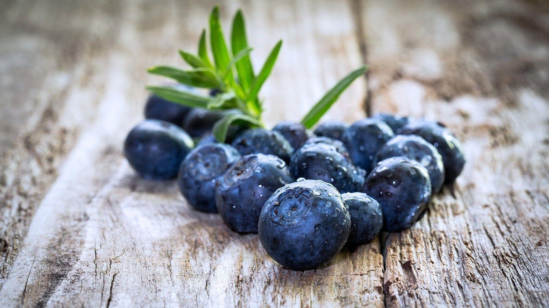 Blueberries Wallpapers - Top Free Blueberries Backgrounds - WallpaperAccess