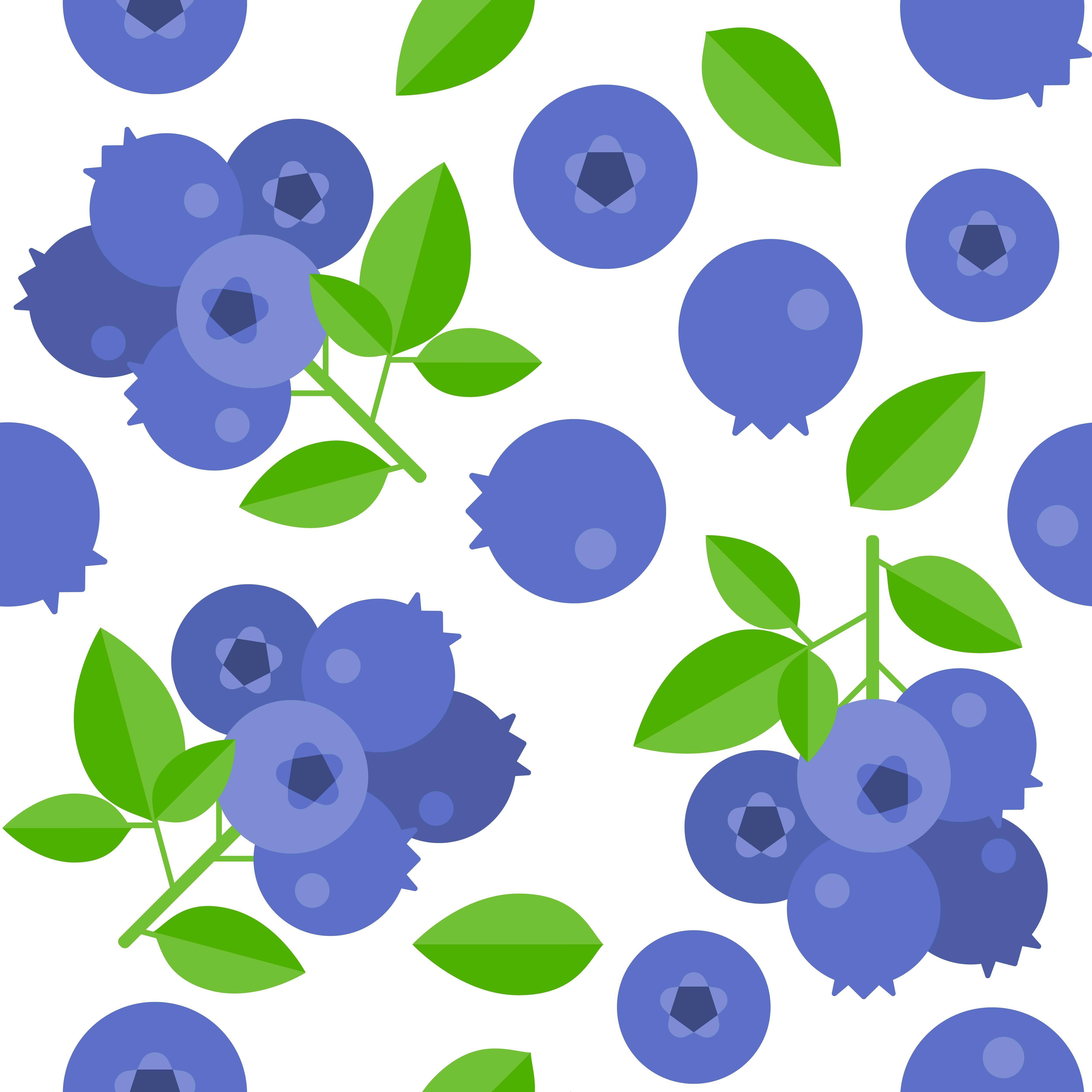 Blueberries Wallpapers - Top Free Blueberries Backgrounds - WallpaperAccess
