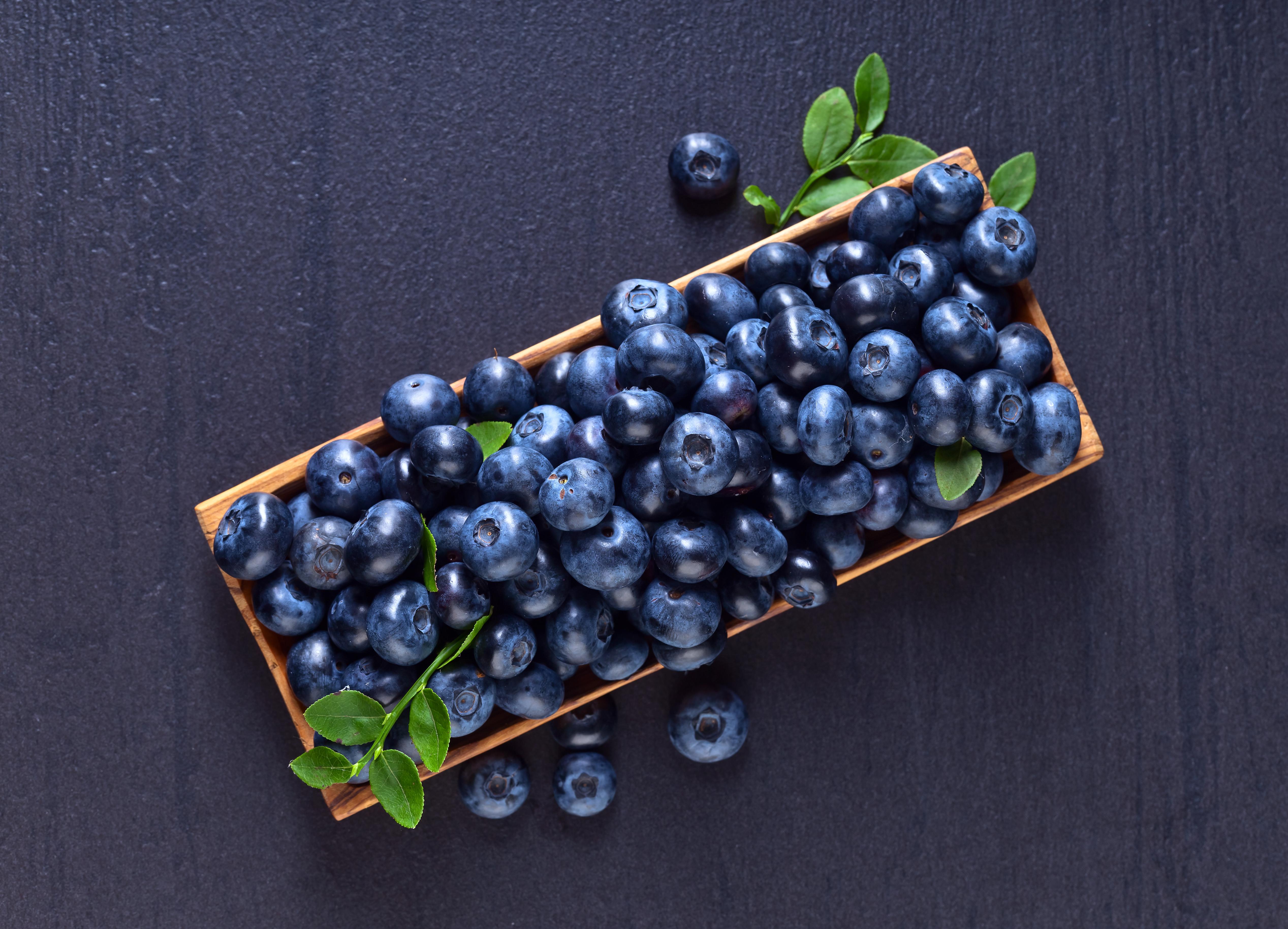 Blueberry HD Wallpapers - Top Free Blueberry HD Backgrounds ...