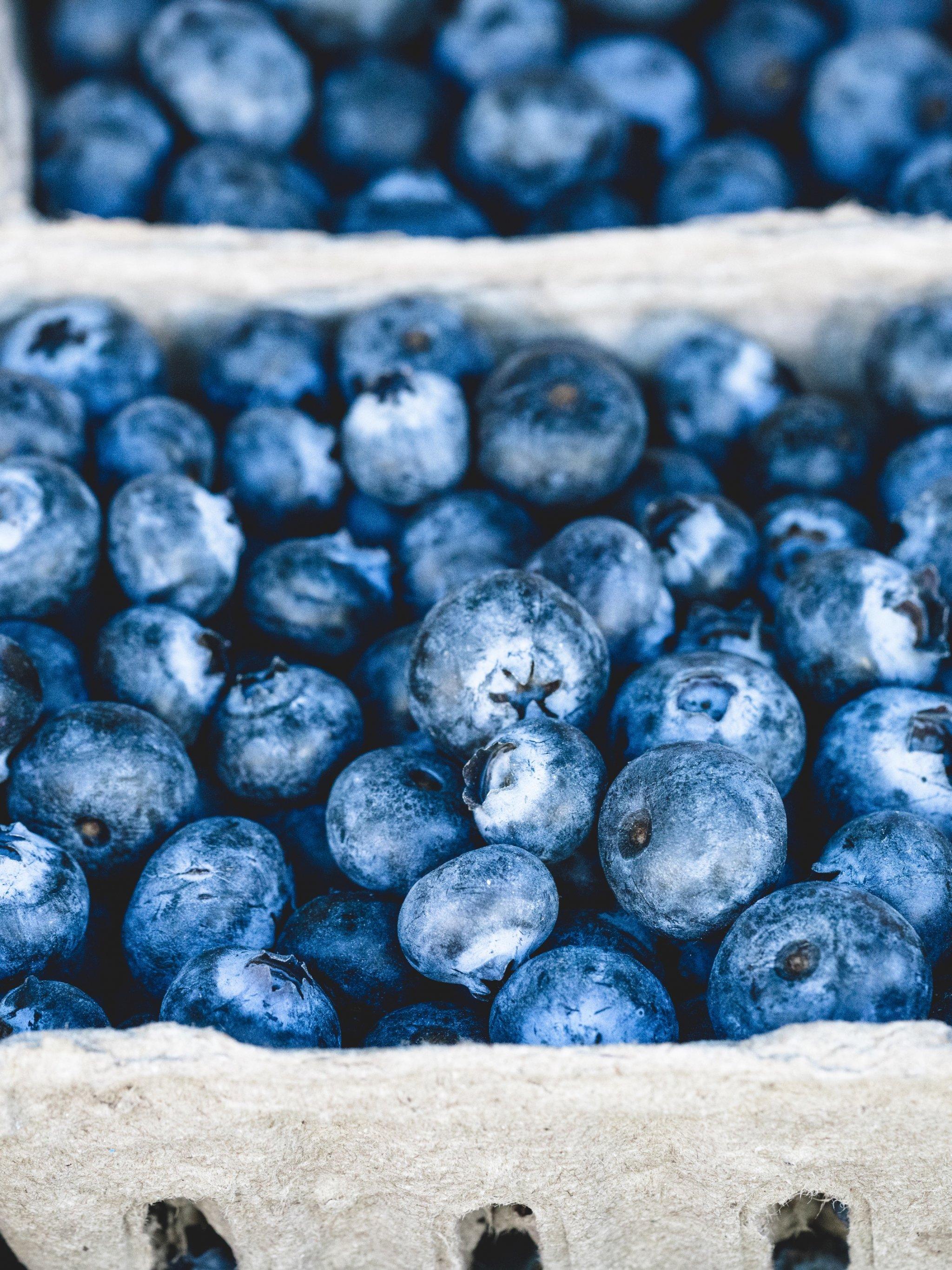 Blueberries Wallpapers - Top Free Blueberries Backgrounds - WallpaperAccess
