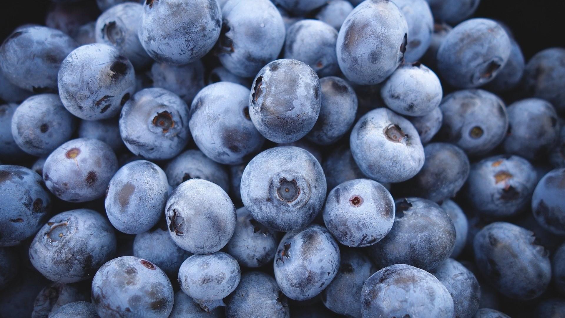 Blueberries Wallpapers - Top Free Blueberries Backgrounds - WallpaperAccess