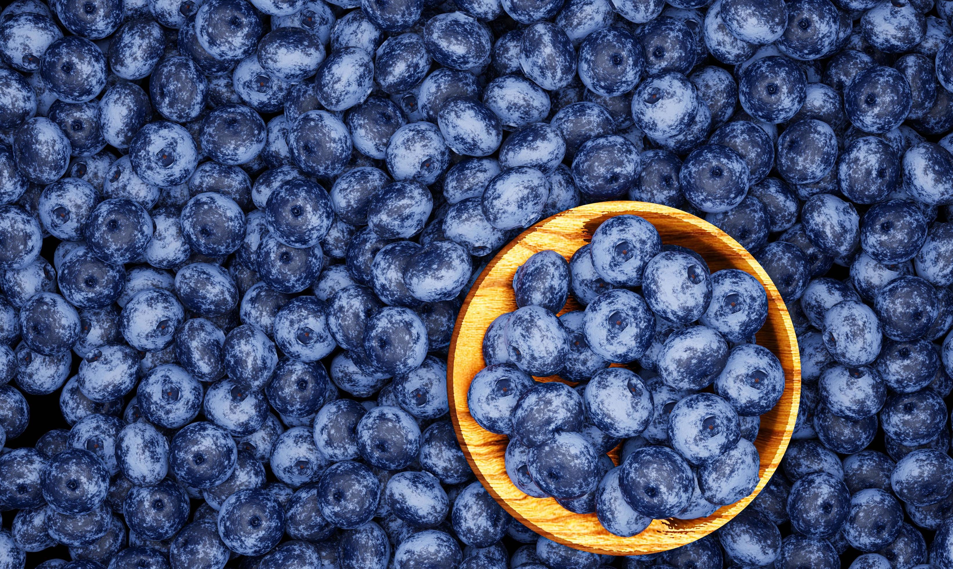 Blueberries Wallpapers - Top Free Blueberries Backgrounds - WallpaperAccess
