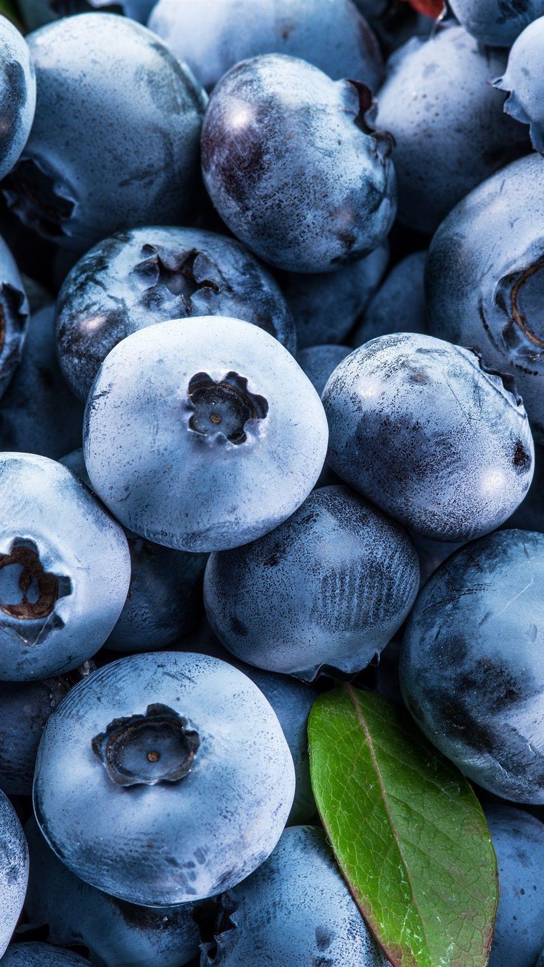 Blueberries Wallpapers - Top Free Blueberries Backgrounds - WallpaperAccess