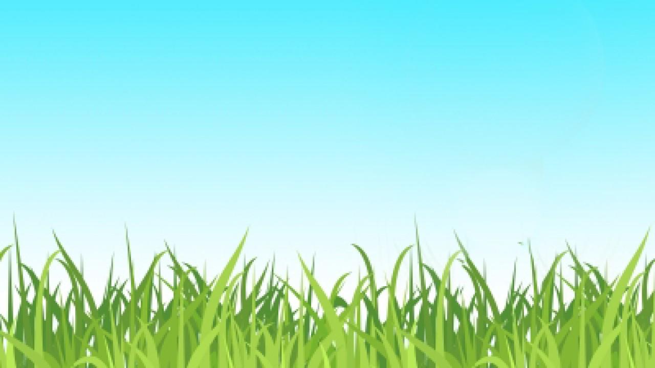 Cartoon Grass Wallpapers - Top Free Cartoon Grass Backgrounds ...
