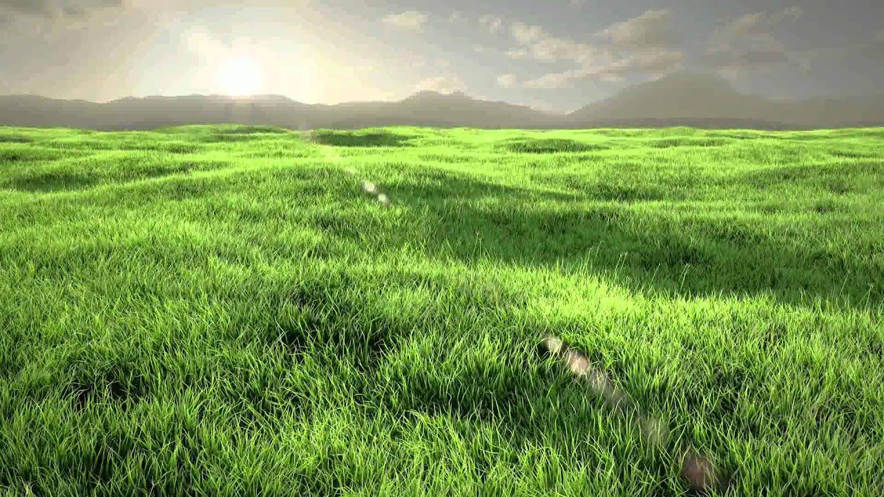 Cartoon Grass Wallpapers - Top Free Cartoon Grass Backgrounds ...
