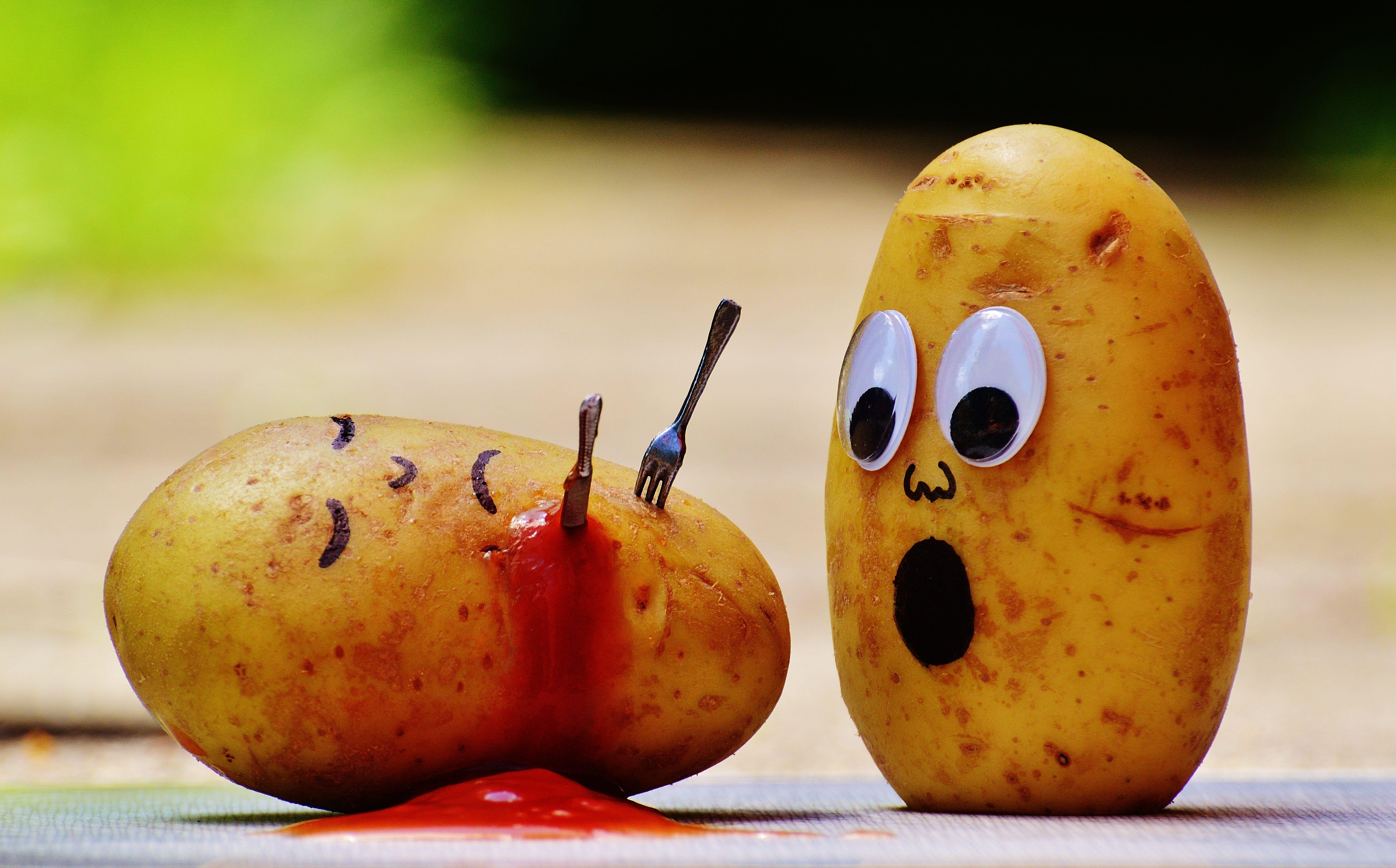 Funny Potato Wallpapers - Top Free Funny Potato Backgrounds ...