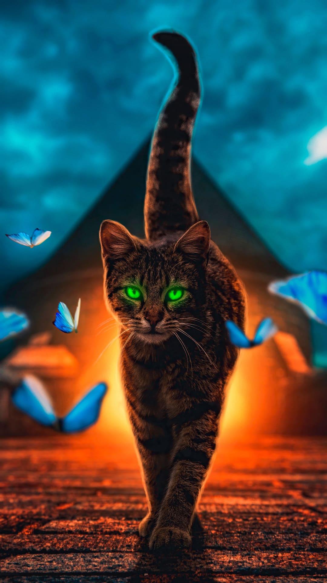 Yellow Aesthetic Cat Wallpapers - Top Free Yellow Aesthetic Cat ...