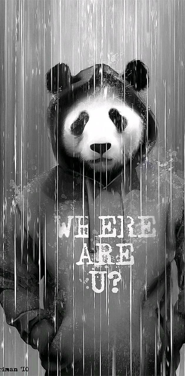 Graffiti Panda Wallpapers - Top Free Graffiti Panda Backgrounds ...