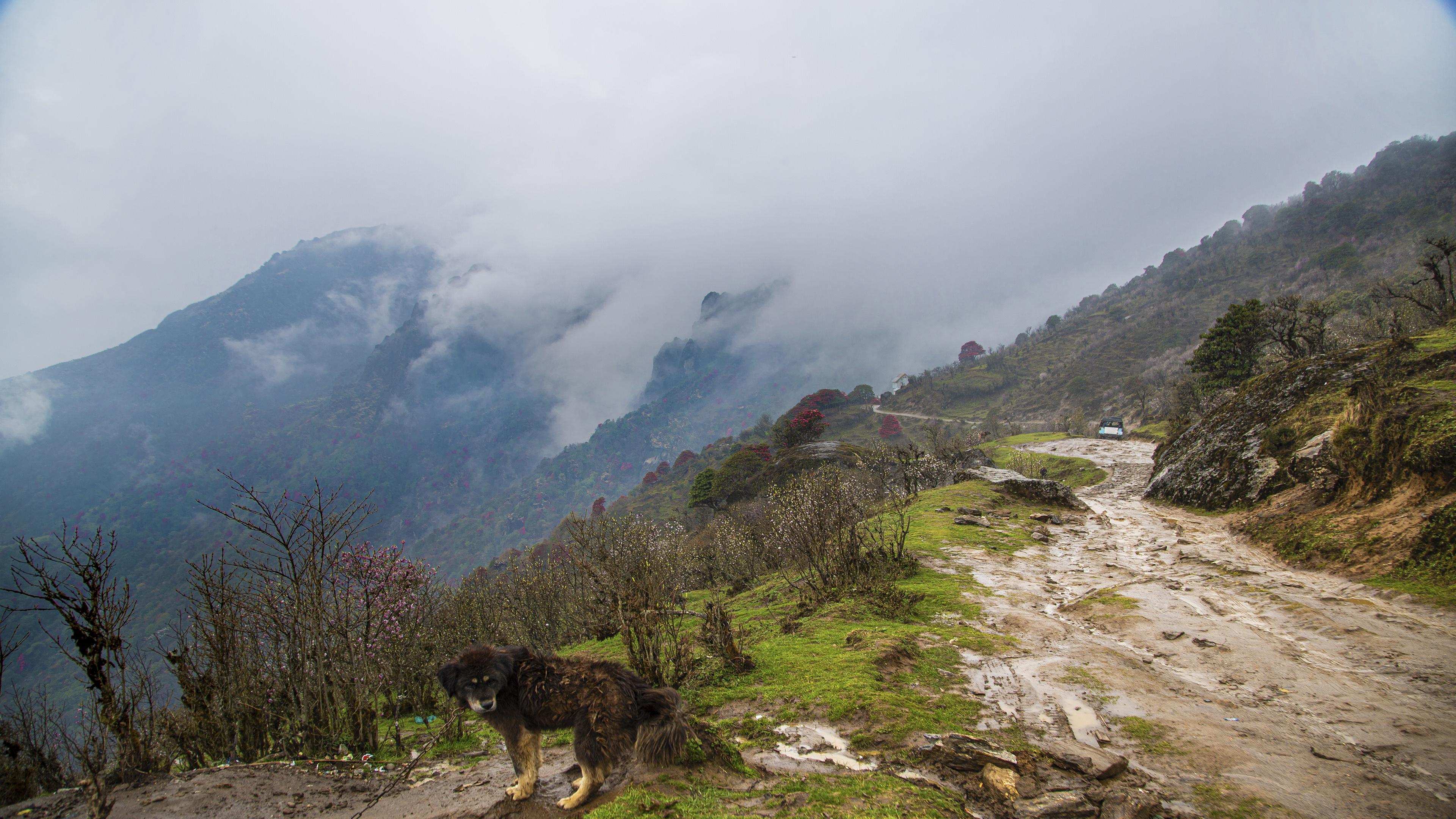 West Bengal Wallpapers - Top Free West Bengal Backgrounds - WallpaperAccess