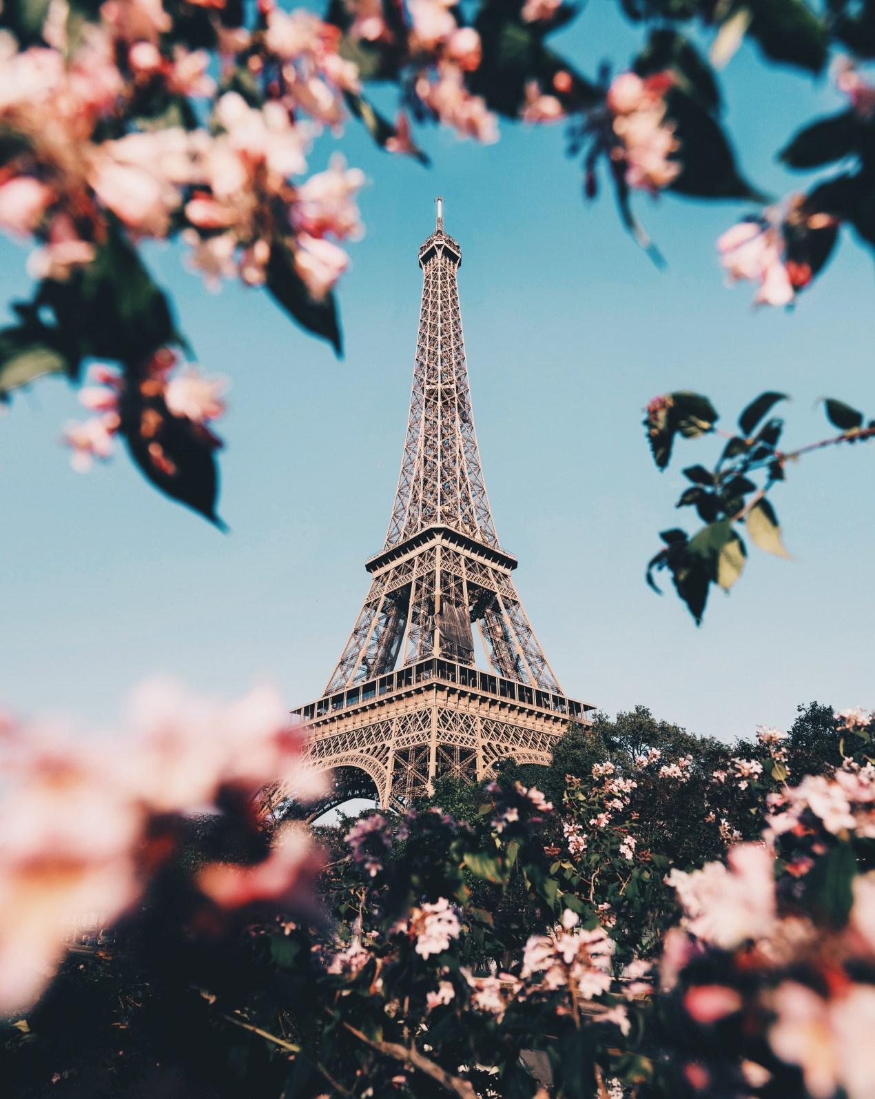 Paris Floral Wallpapers - Top Free Paris Floral Backgrounds ...