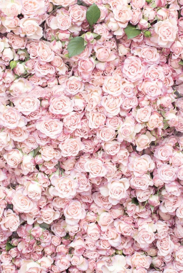 Paris Floral Wallpapers - Top Free Paris Floral Backgrounds ...