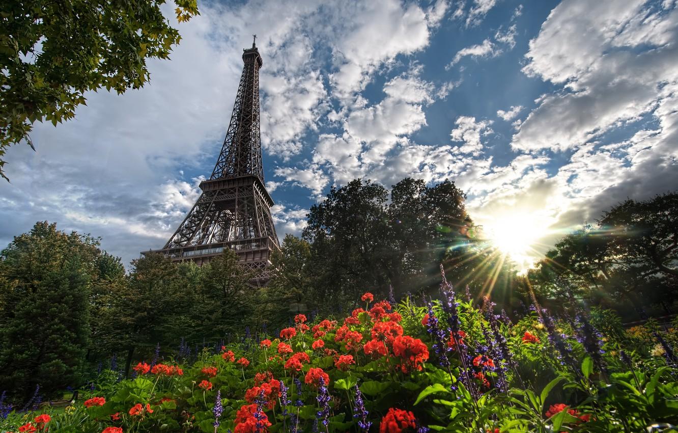 Paris Floral Wallpapers - Top Free Paris Floral Backgrounds ...