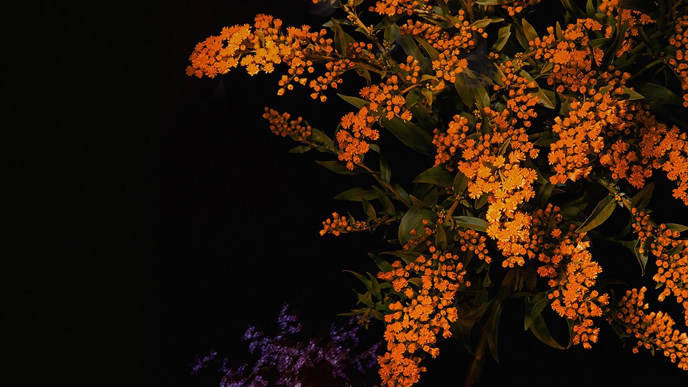 Orange Flower Computer Wallpapers - Top Free Orange Flower Computer ...