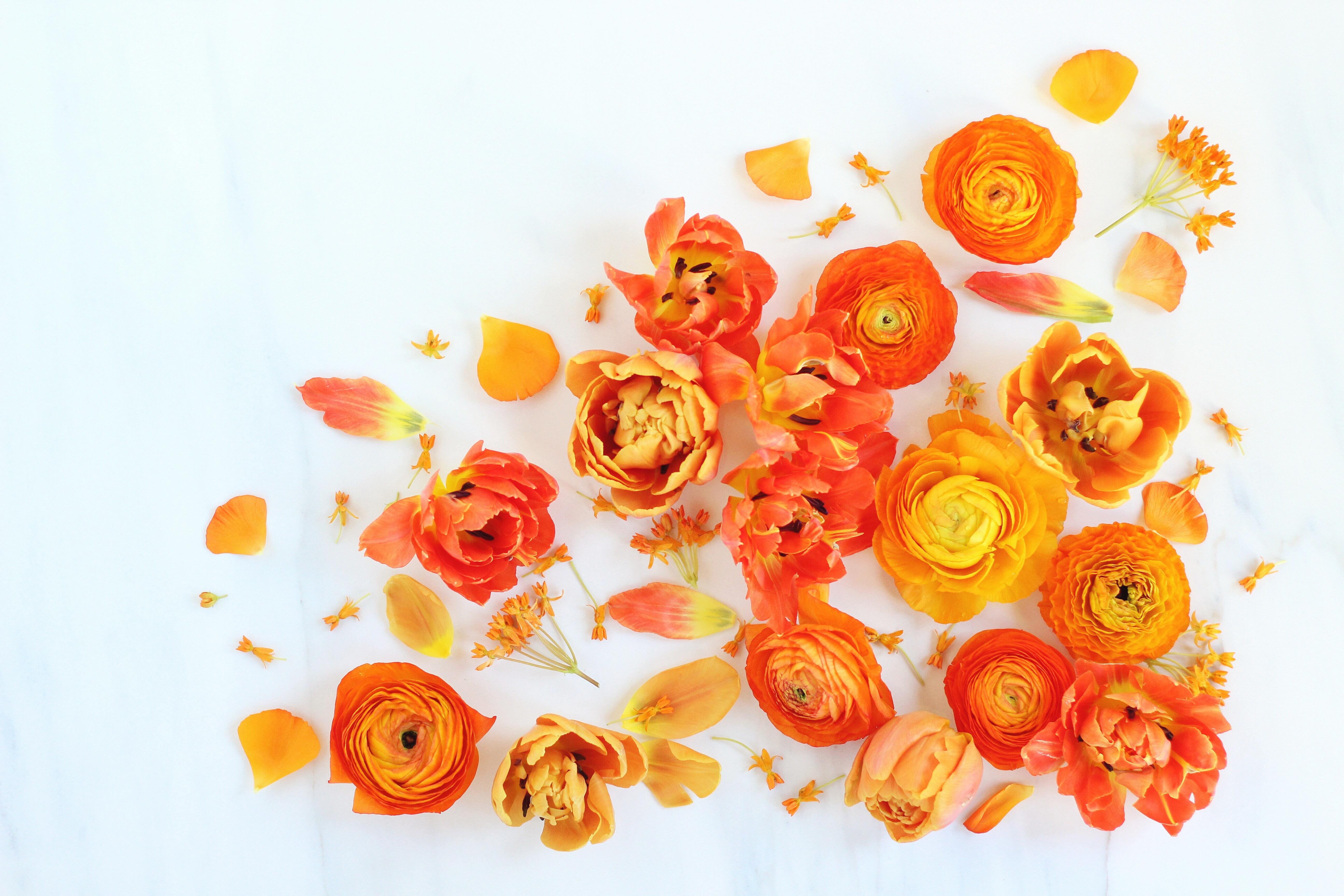 Orange Flower Computer Wallpapers - Top Free Orange Flower Computer ...