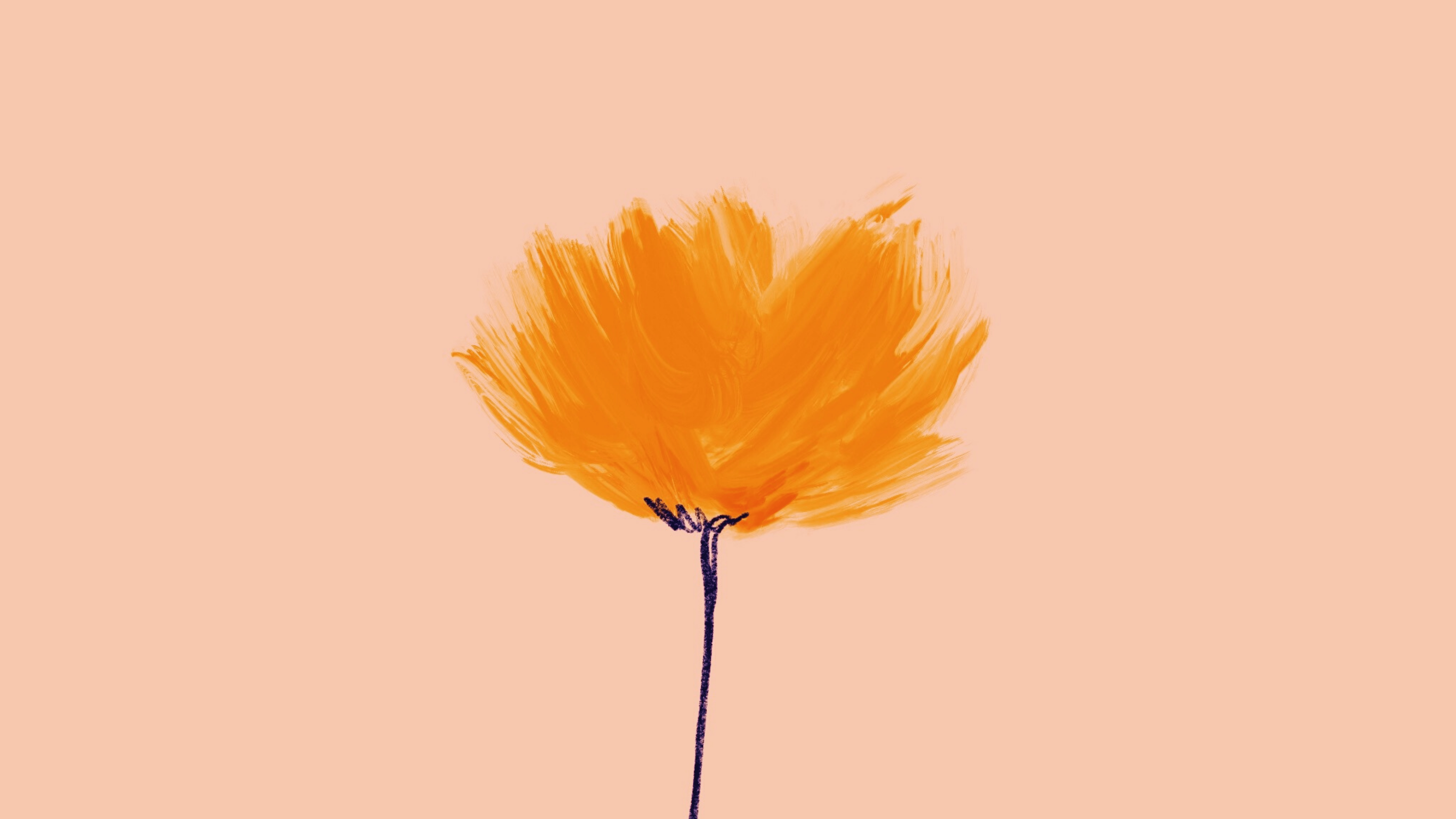 Orange Flower Computer Wallpapers - Top Free Orange Flower Computer ...